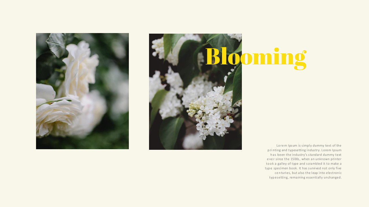 Spring Presentation Format