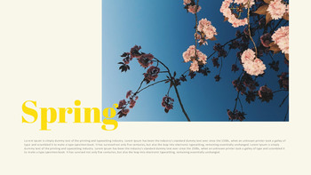 Spring Presentation Format