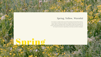 Spring Presentation Format