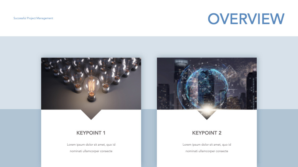 Successful Project Management professional presentation