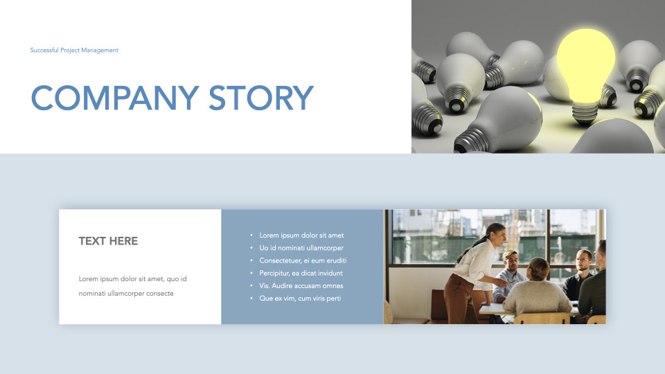 Successful Project Management professional presentation