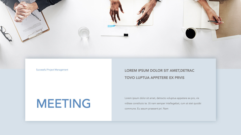 Successful Project Management professional presentation