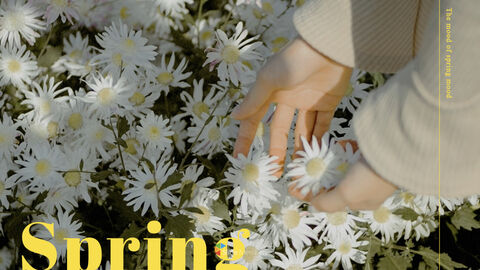 Spring Keynote Templates