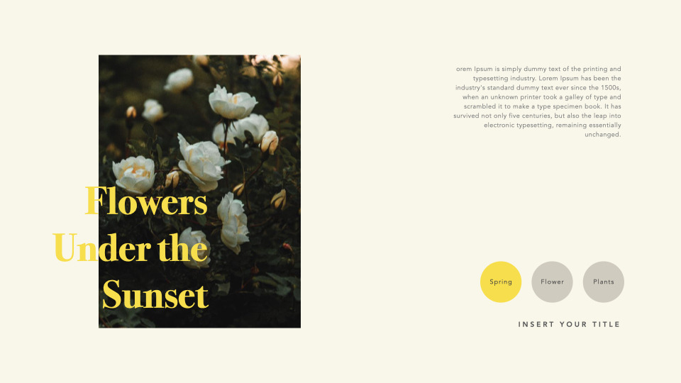 Spring Keynote Templates