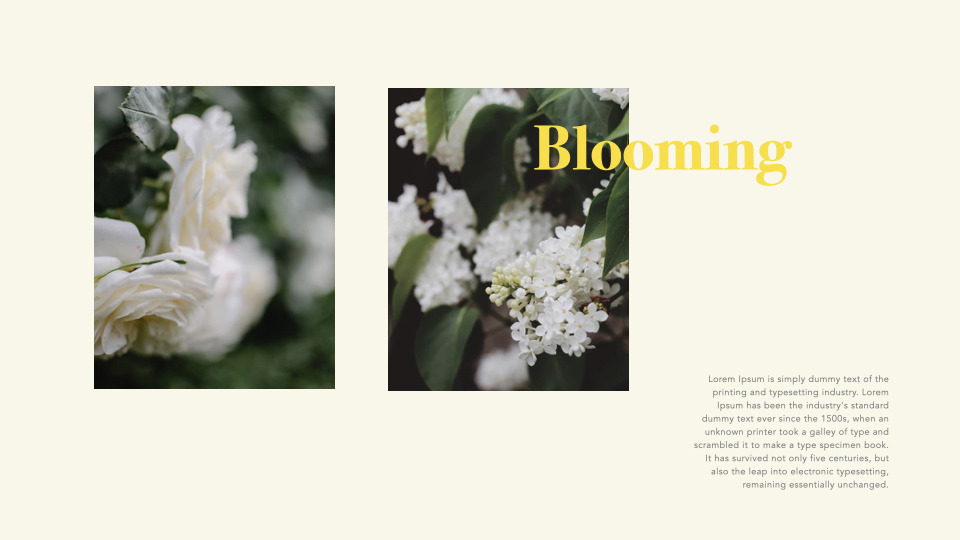 Spring Keynote Templates