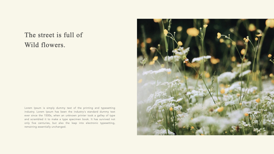 Spring Keynote Templates