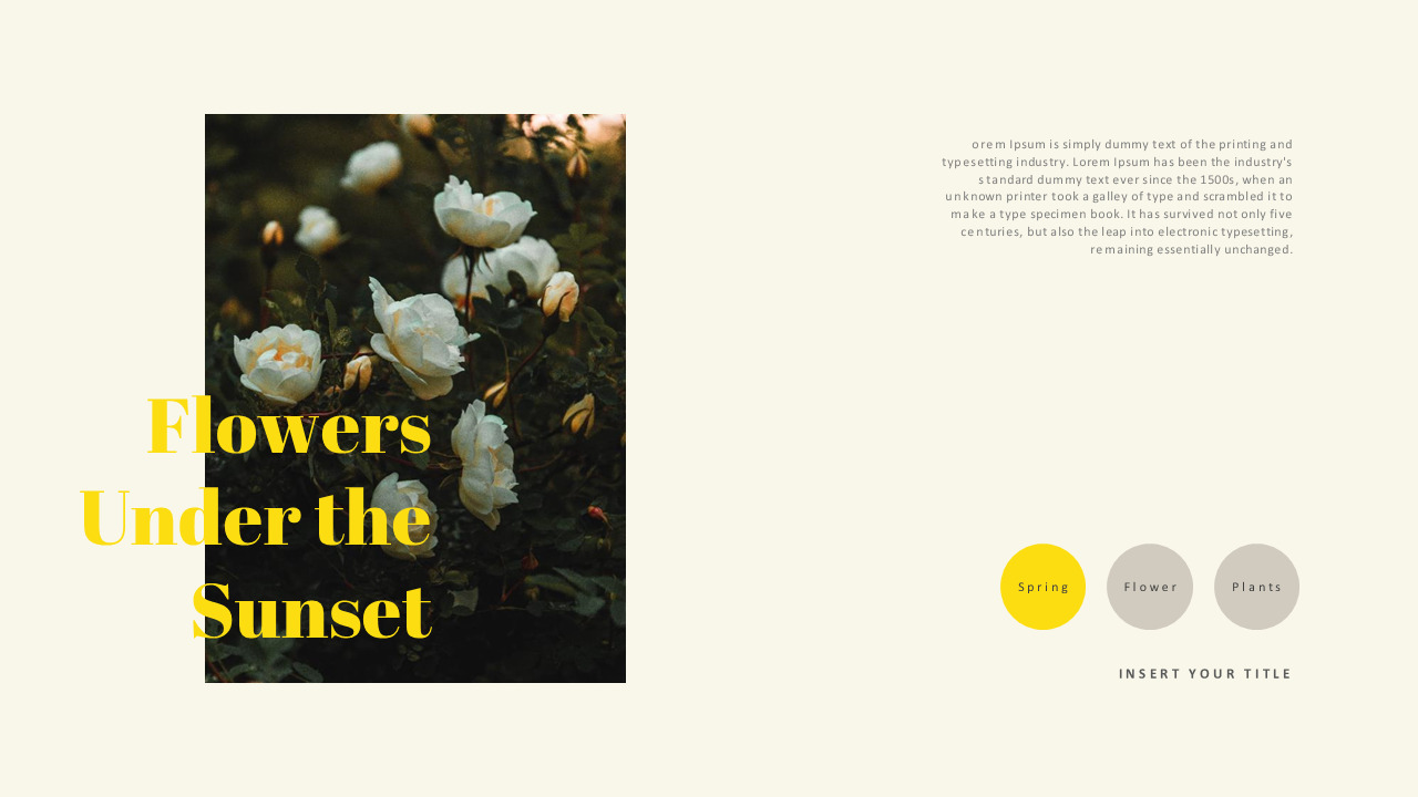 Spring Google Slides Templates for Your Next Presentation