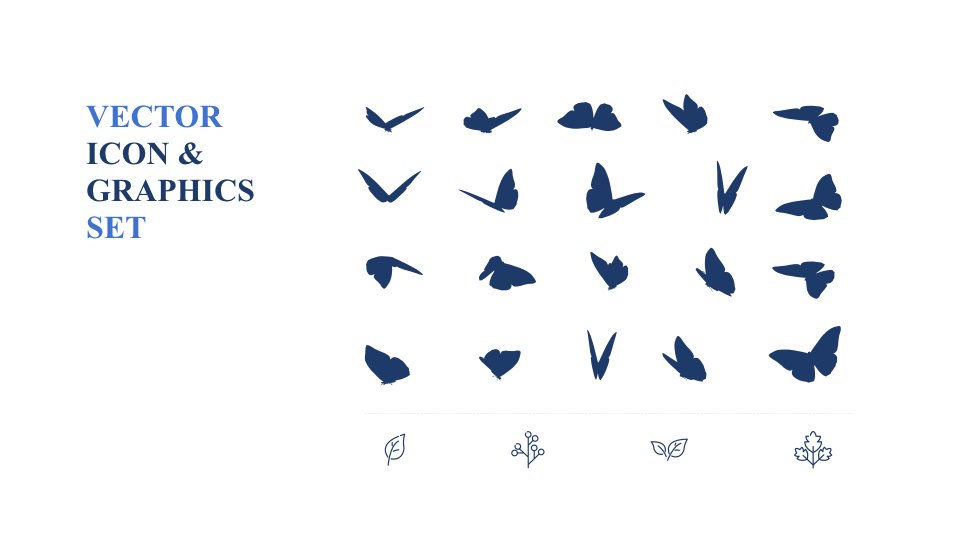 Butterfly Keynote Design