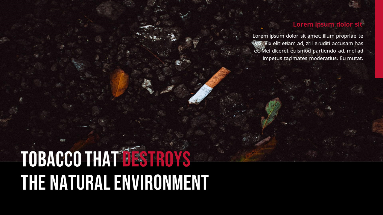 Stop Smoking Design brief Templates|Lifestyle|PPT