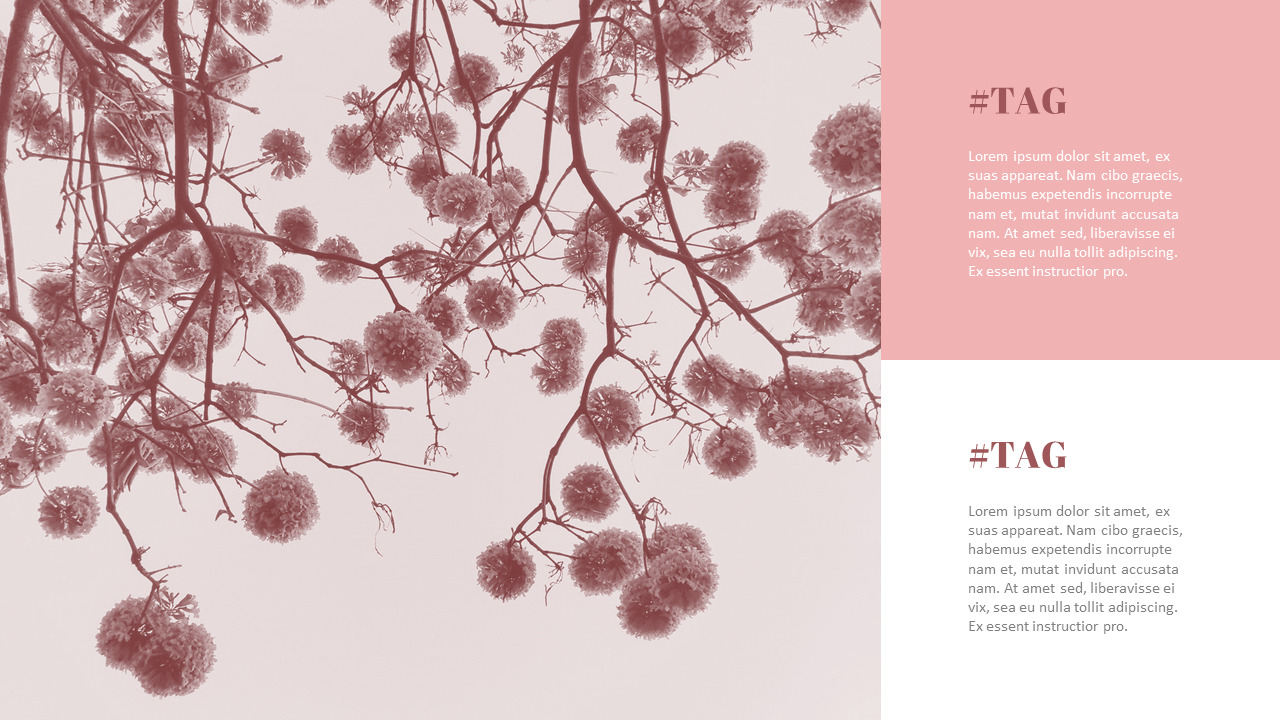 Spring Flower Google Slides Themes|Lifestyle