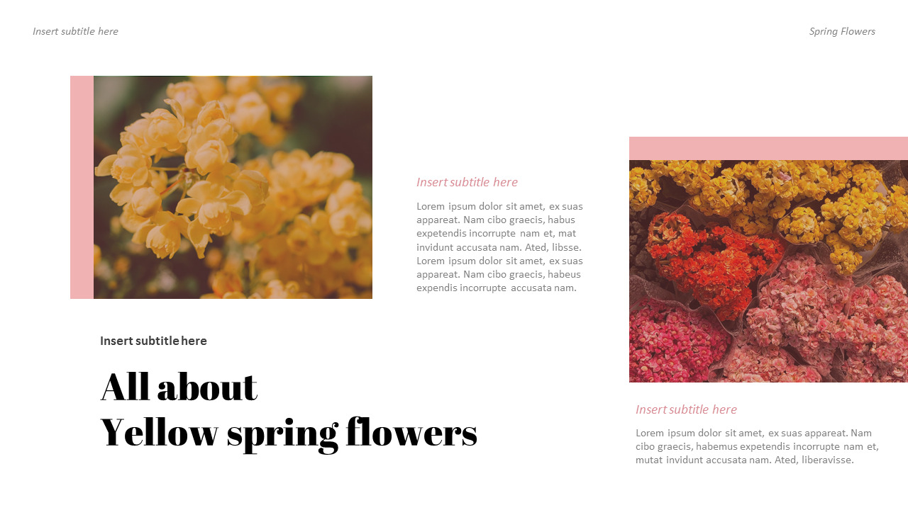 Spring Flower Google Slides Themes|Lifestyle