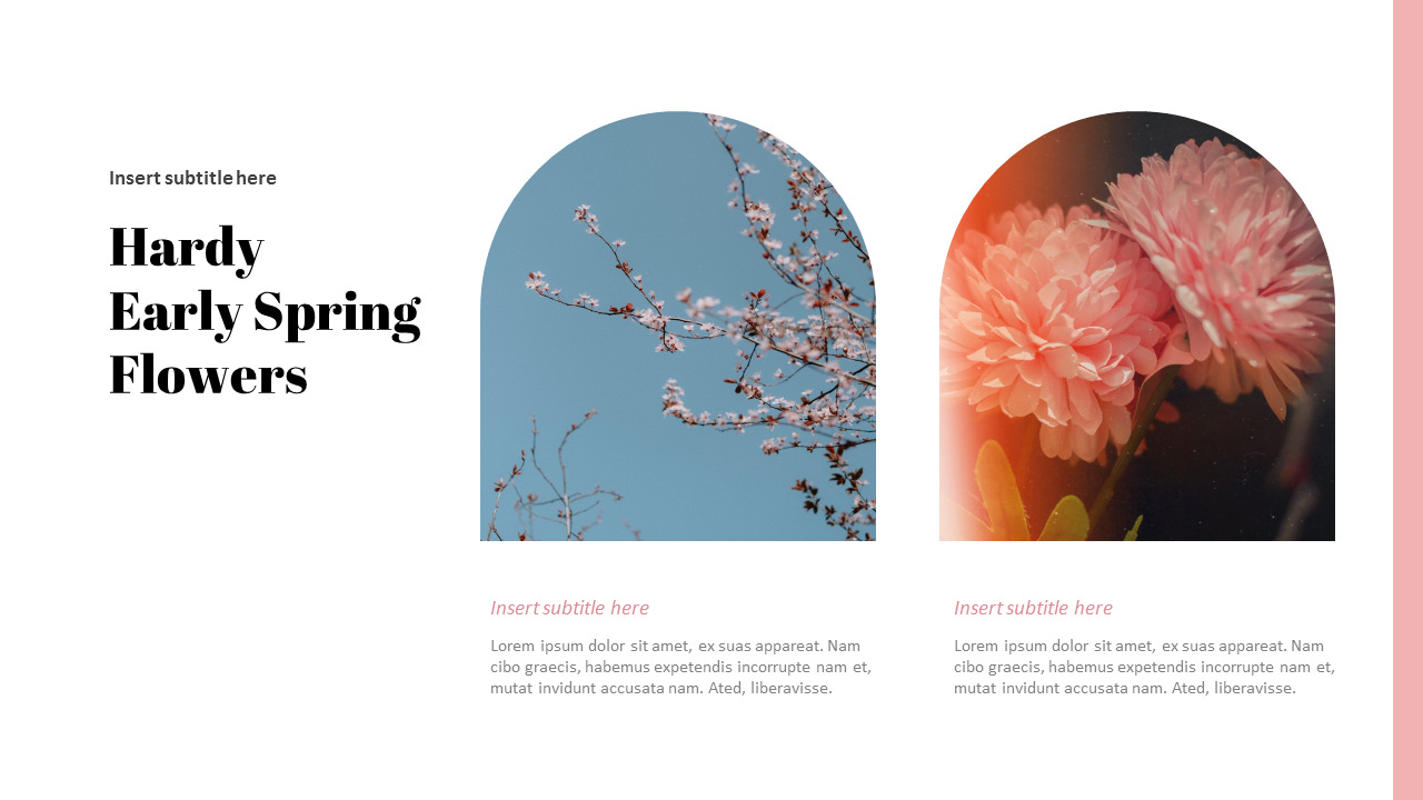 Spring Flower Google Slides Themes|Lifestyle