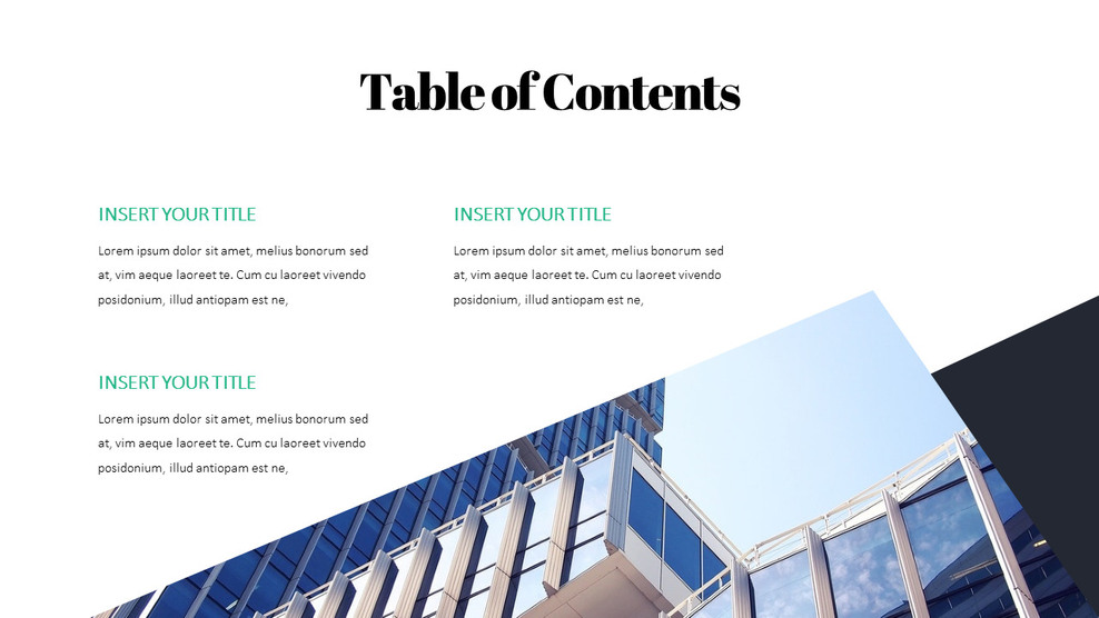 Business Portfolio professional presentation|Google Slides