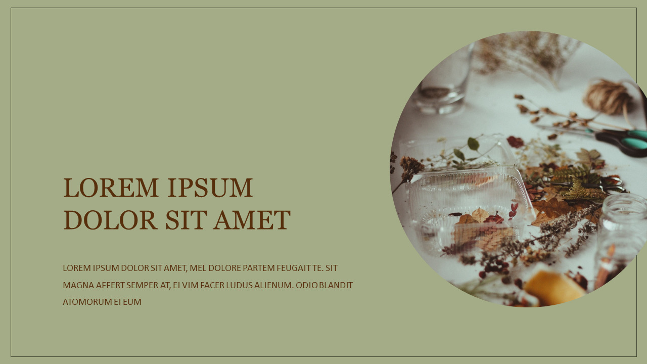 Design Portfolio Simple Slides Templates