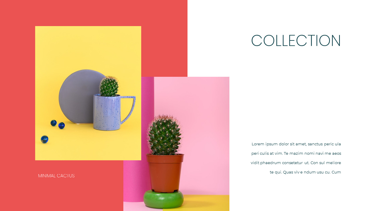 Minimal Cactus Google Slides Presentation Templates|Lifestyle