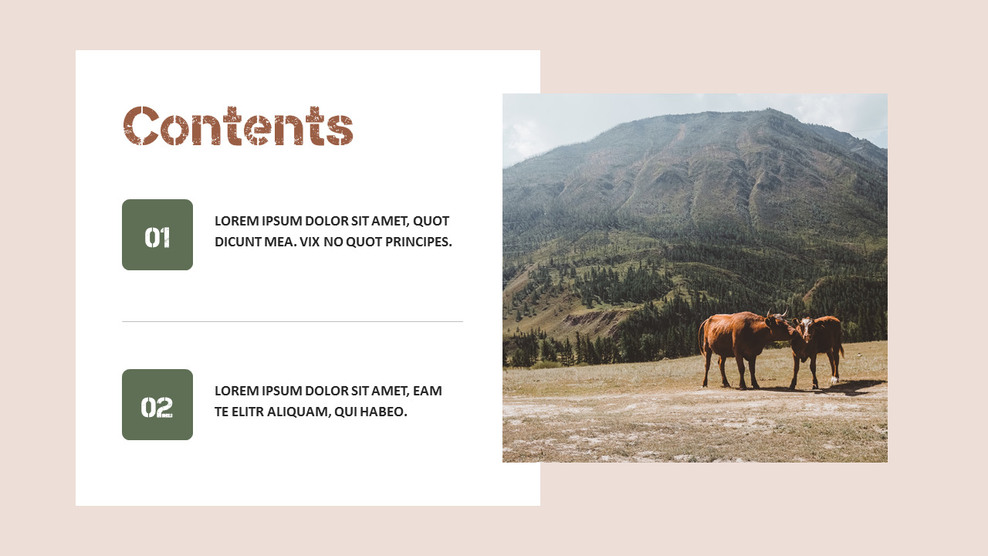 Livestock Industry Theme Templates|Business|PPT