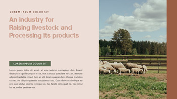 Livestock Industry Theme Templates|Business|PPT