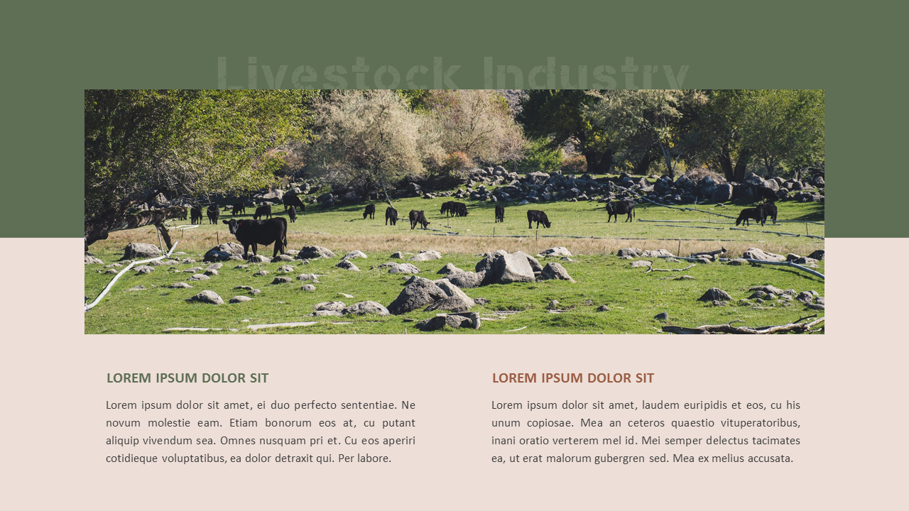 Livestock Industry Theme Templates|Business|PPT