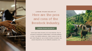Livestock Industry Theme Templates|Business|PPT