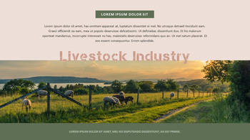 Livestock Industry Theme Templates|Business|PPT