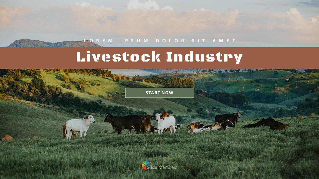 Livestock Industry Google Slides Presentation|Business
