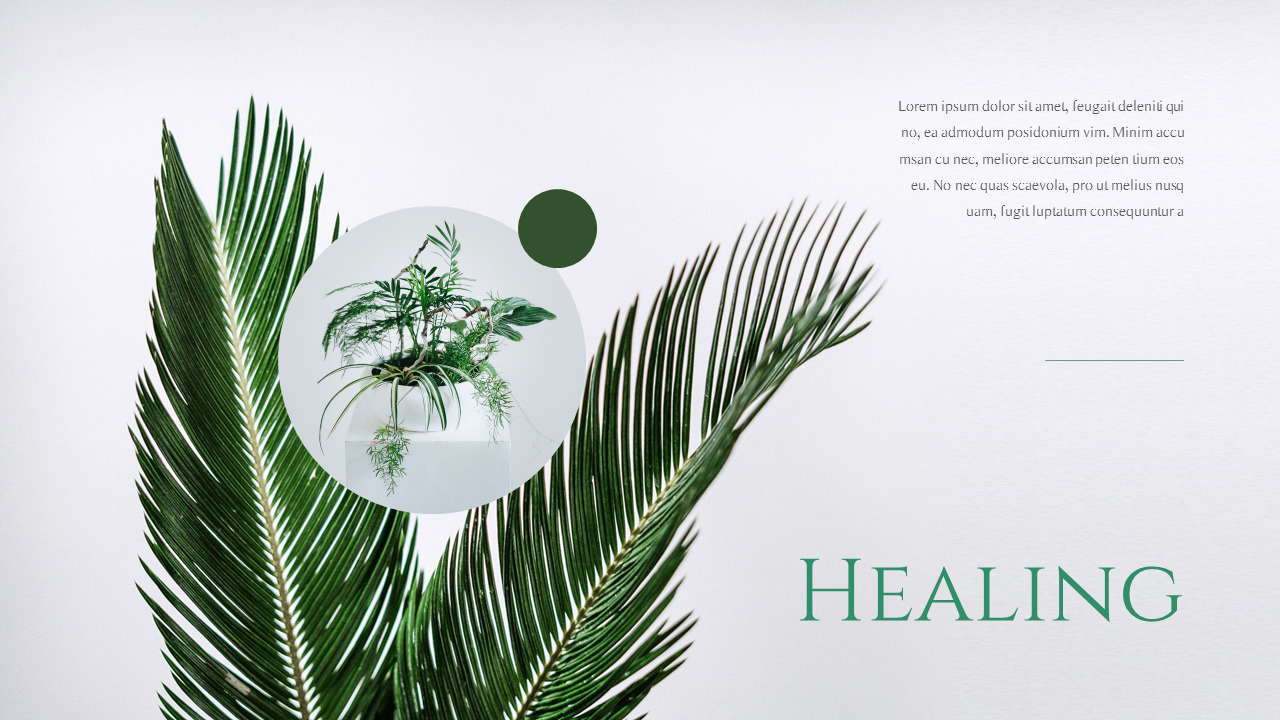 Nature Leaf Background PowerPoint