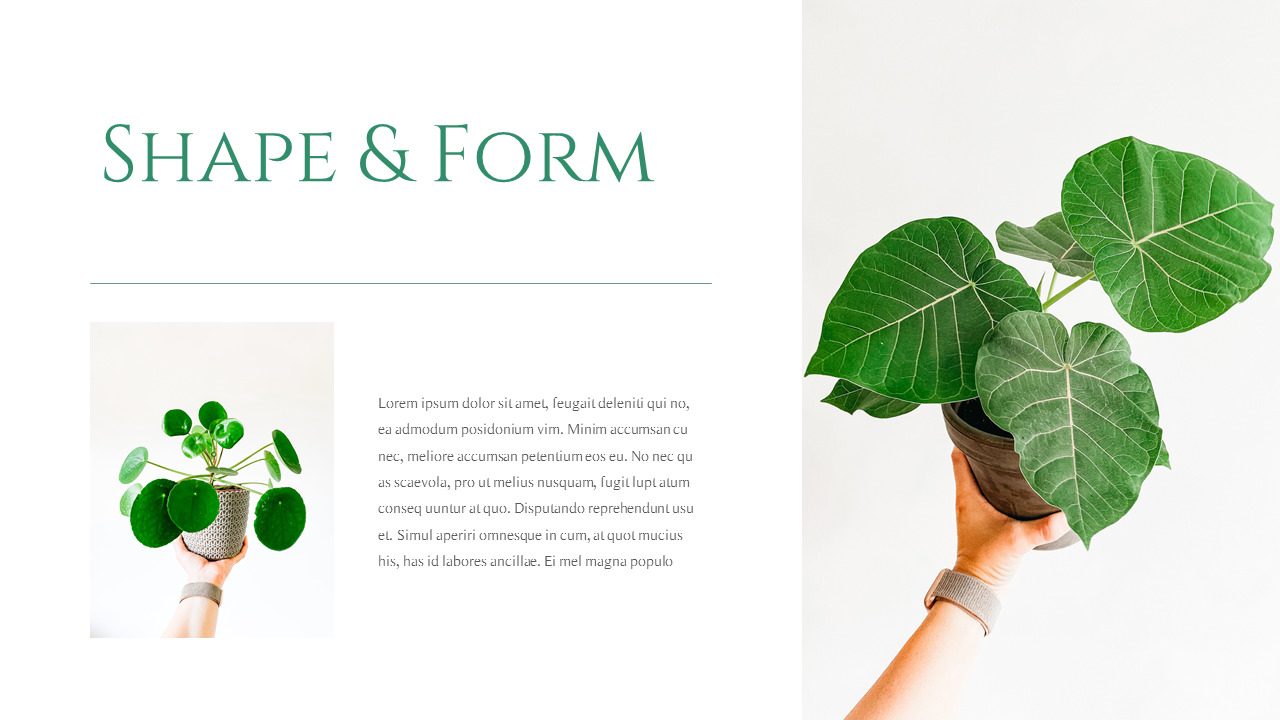 Nature Leaf Background PowerPoint