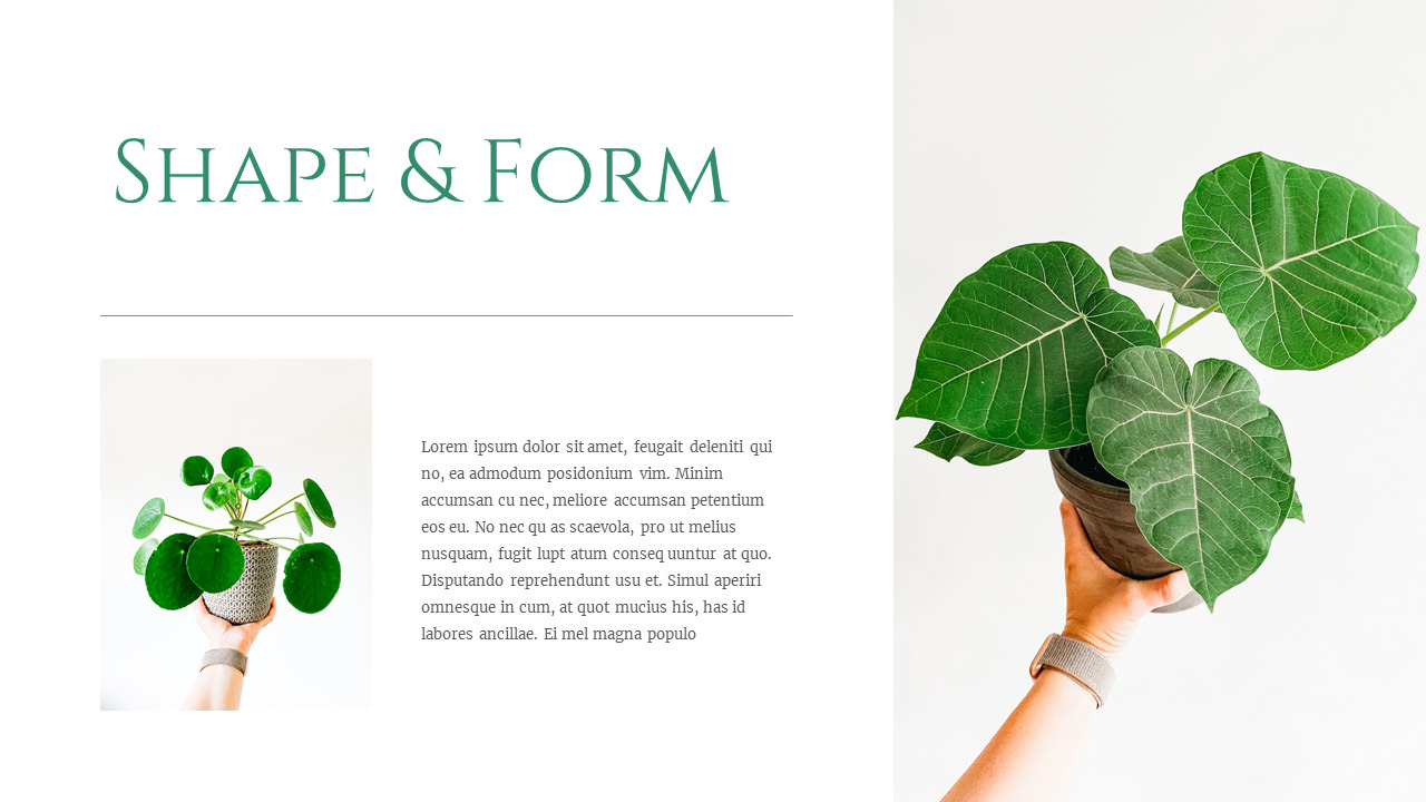 Nature Leaf professional presentation