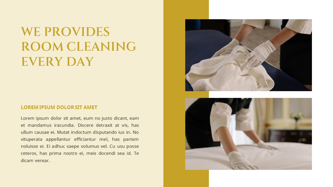 Hotel Service PPT Templates