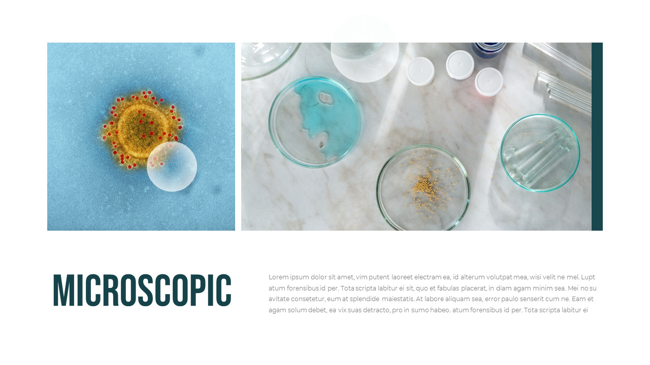 Microscopic World PowerPoint Design