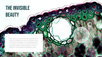 Microscopic World PowerPoint Design