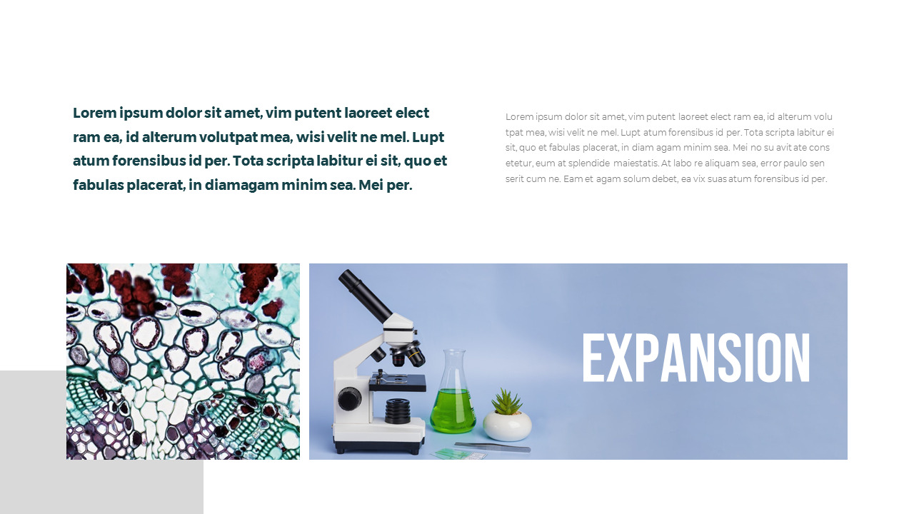 Microscopic World PowerPoint Design