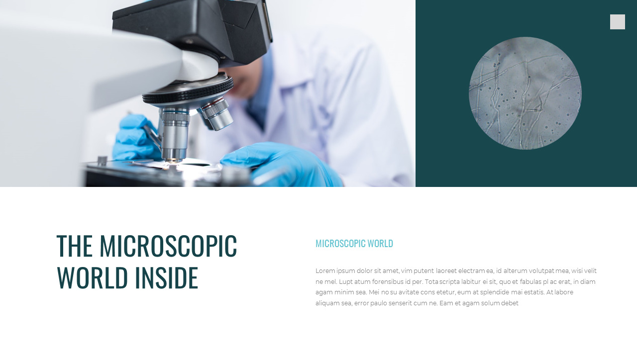 Microscopic World Google Slides Presentation