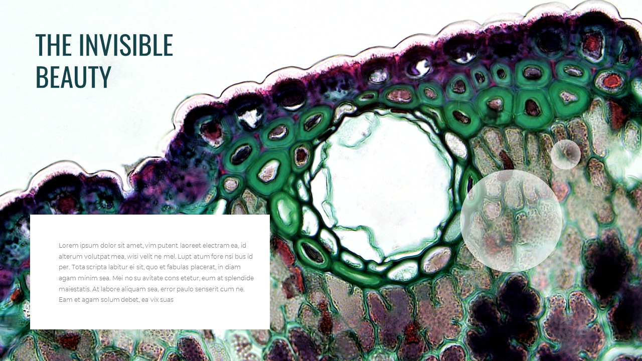 Microscopic World Google Slides Presentation