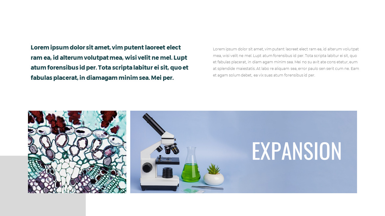 Microscopic World Google Slides Presentation