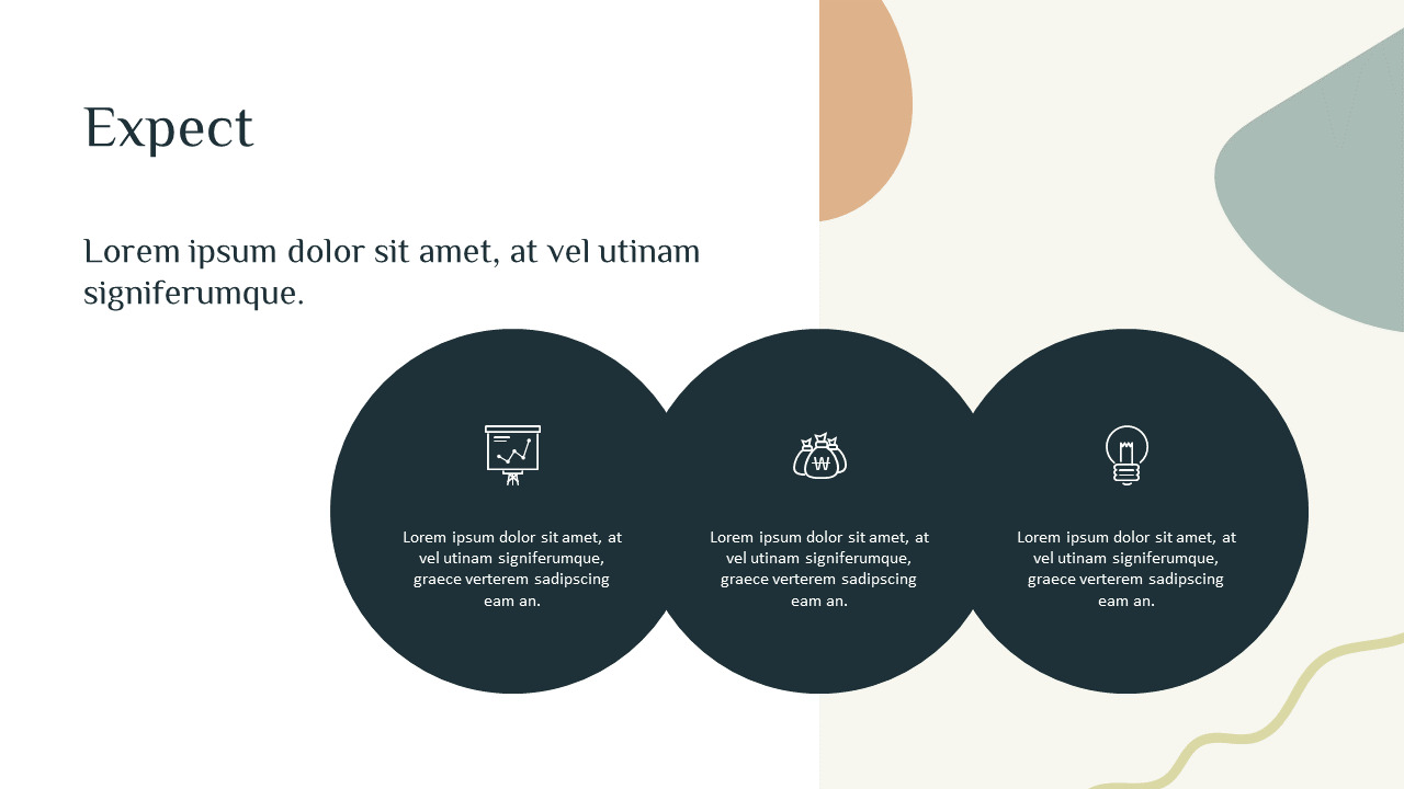 Business Overview idea powerpoint