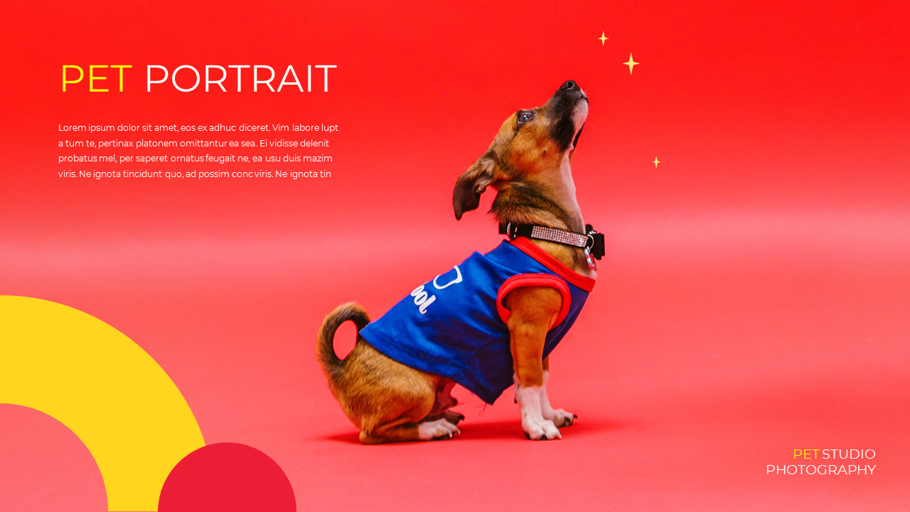 Pet Studio Photography business plan sample|Lifestyle|PPT Templates
