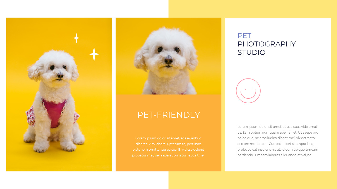 Pet Studio Photography business plan sample|Lifestyle|PPT Templates