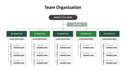 Team Organization|Hierarchy|Diagram