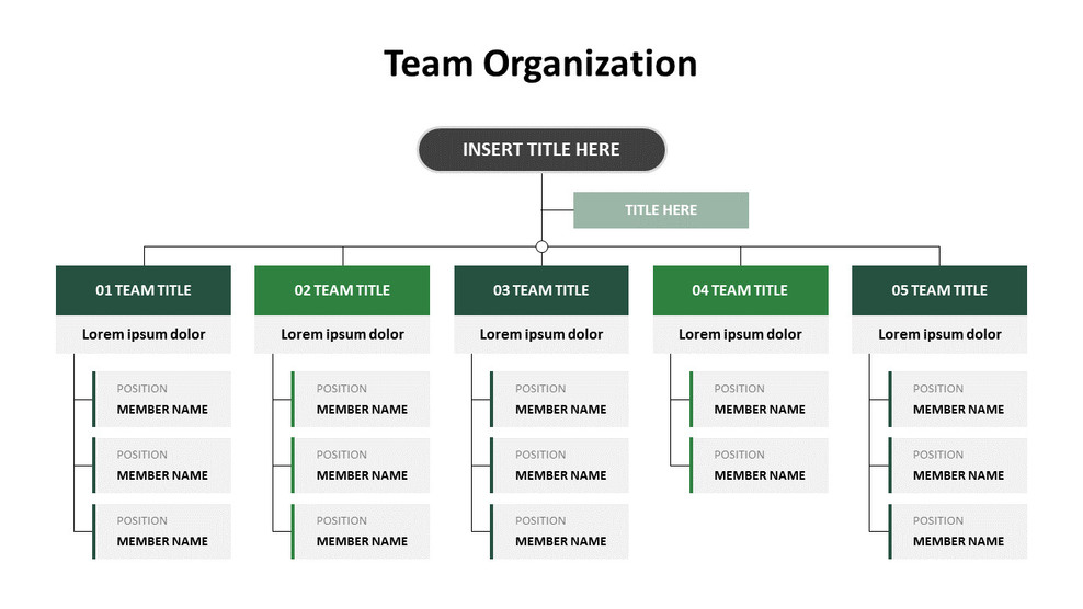 Team Organization|Hierarchy|Diagram