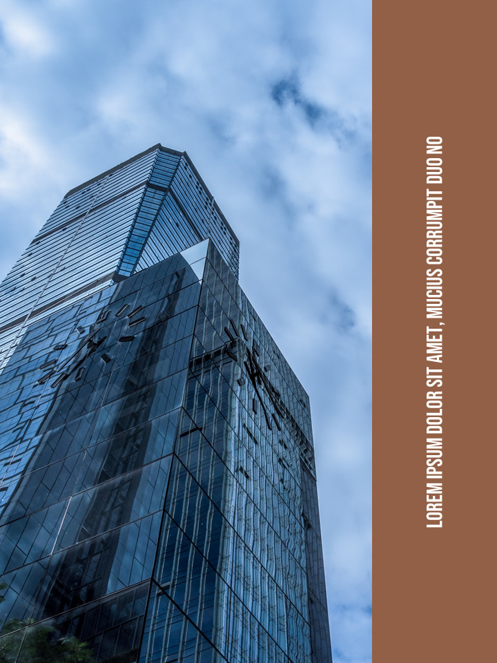 Business Plan portfolio template