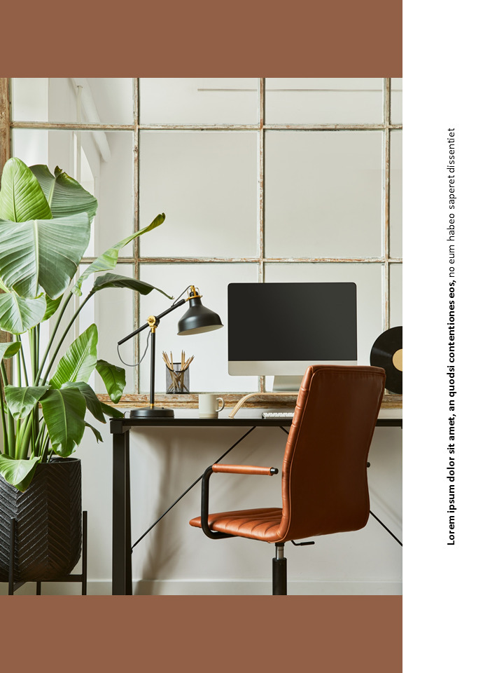 Business Plan portfolio template