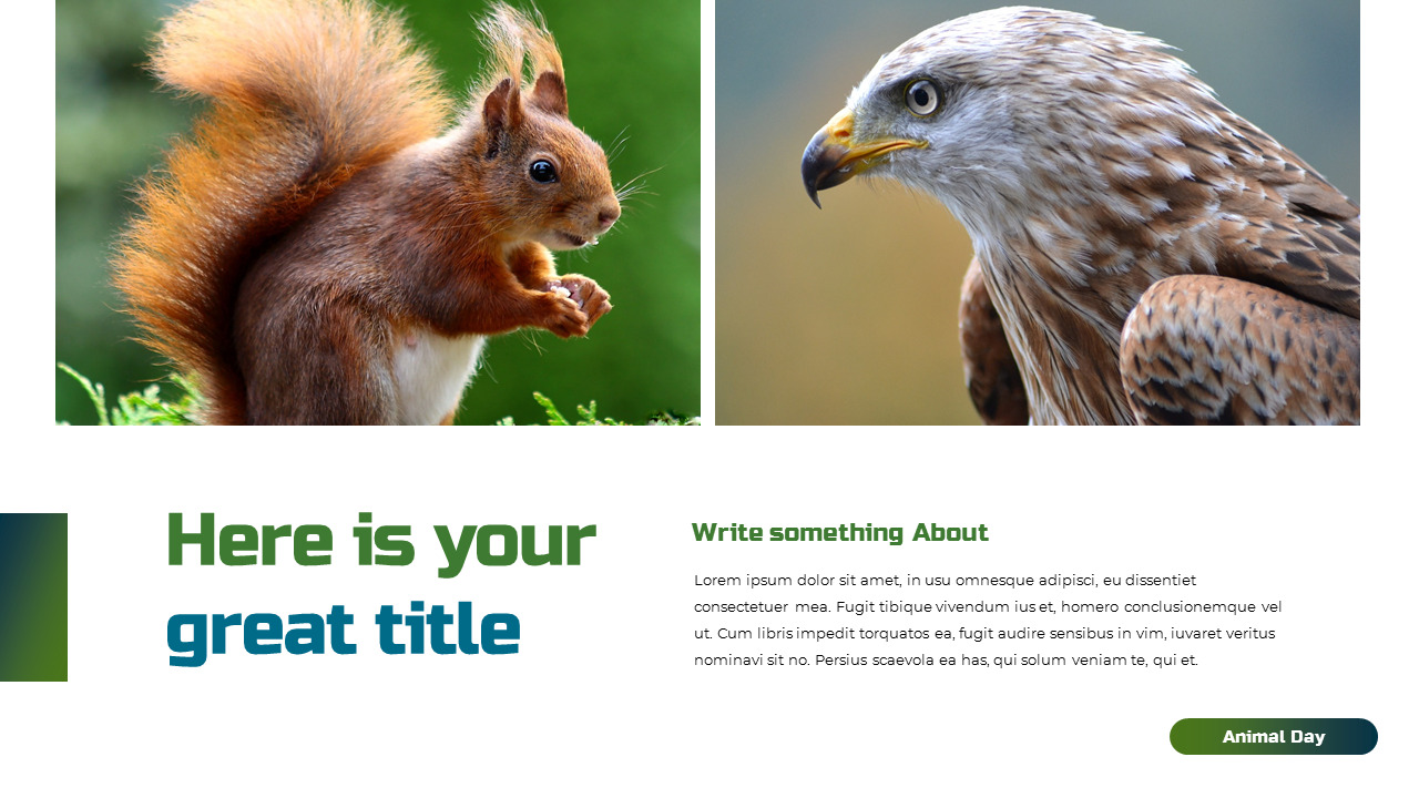 World Animal Day deck templates