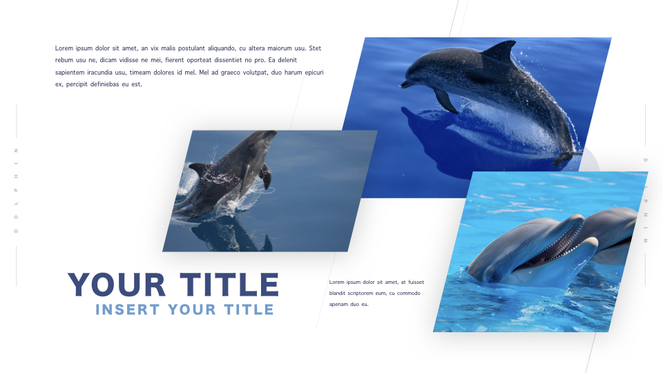 Dolphin Multipurpose Presentation Keynote Template|Lifestyle