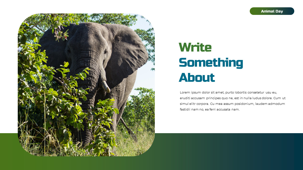 World Animal Day google slides slide templates