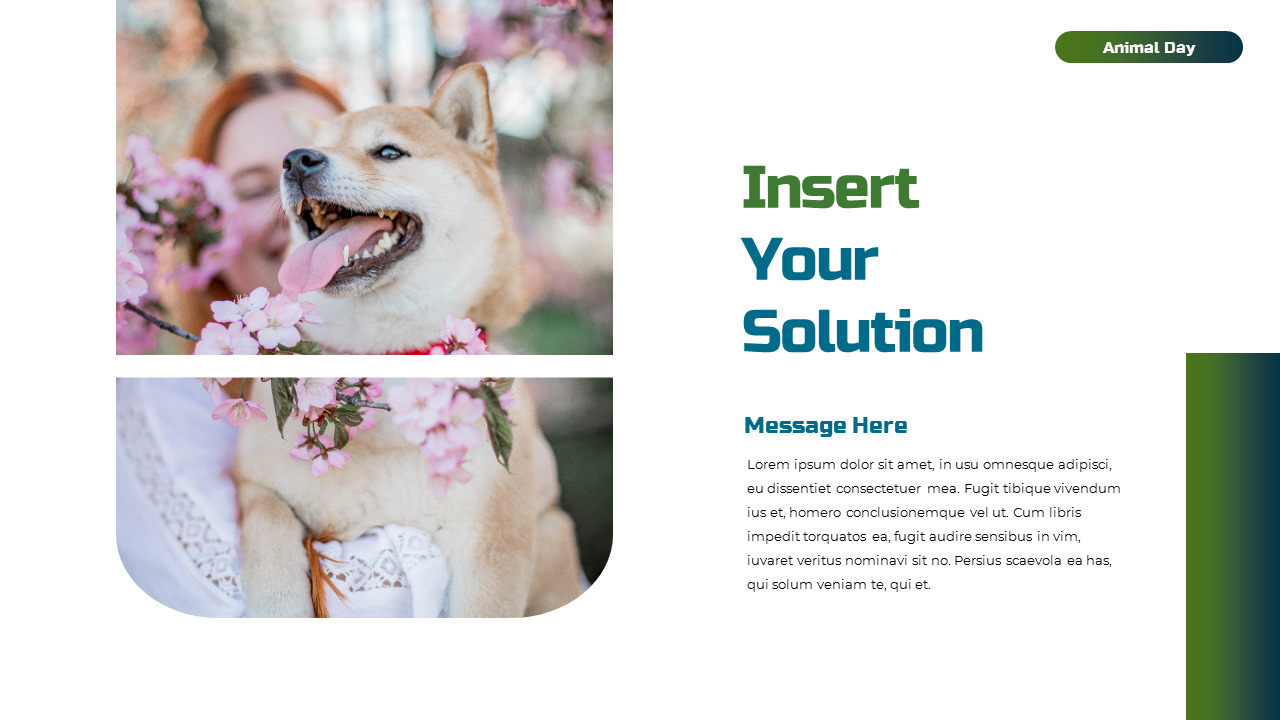 World Animal Day google slides slide templates