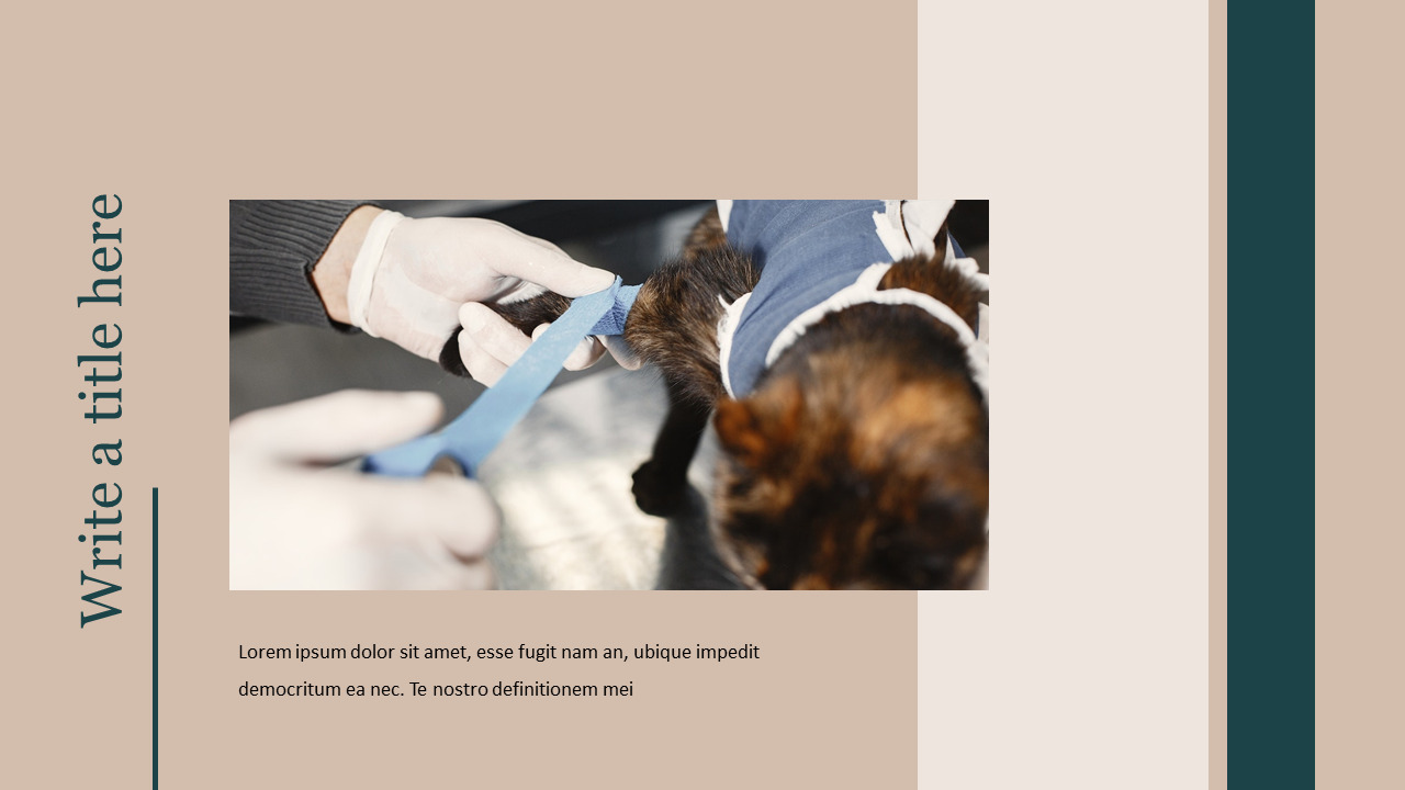 Veterinary Clinic ppt samples|Lifestyle|Templates