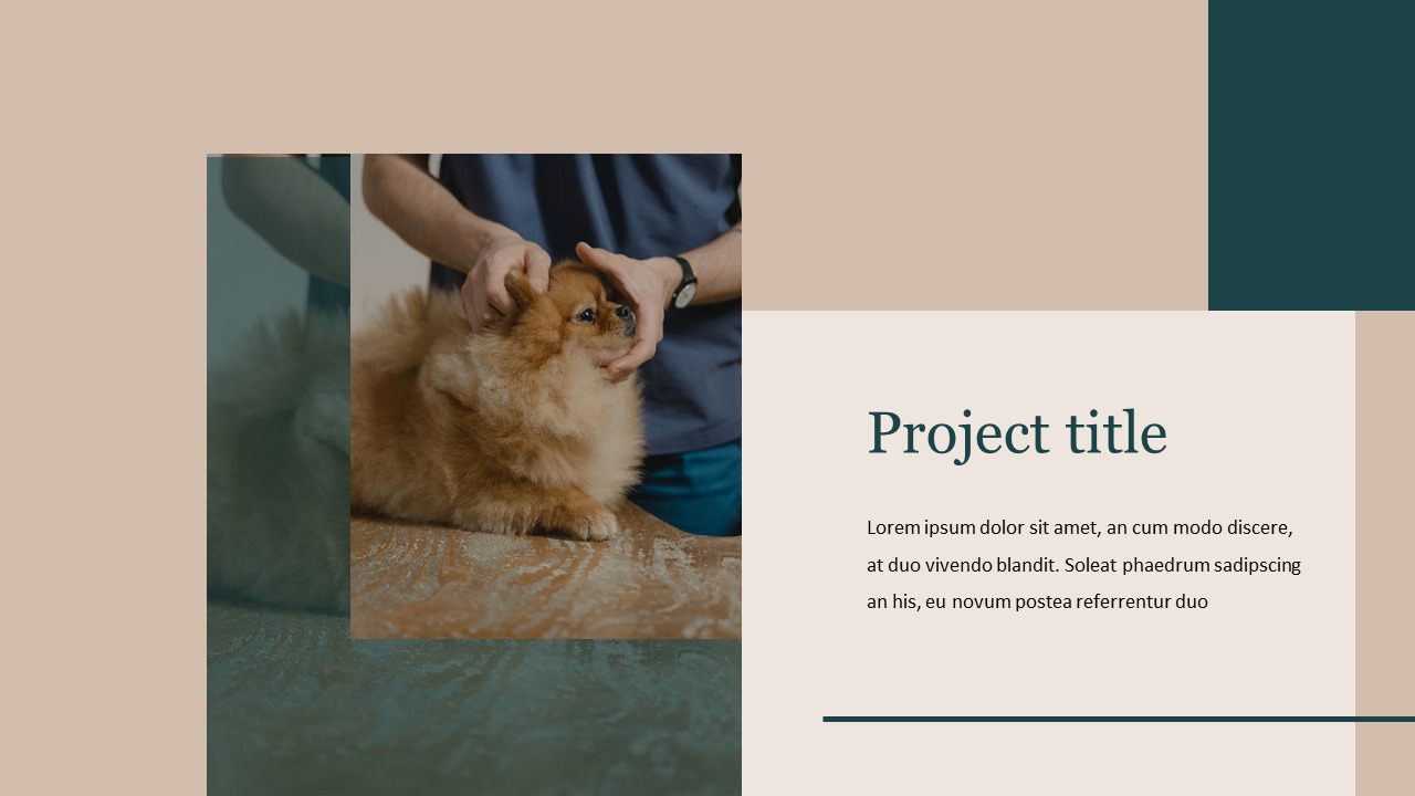 Veterinary Clinic ppt samples|Lifestyle|Templates