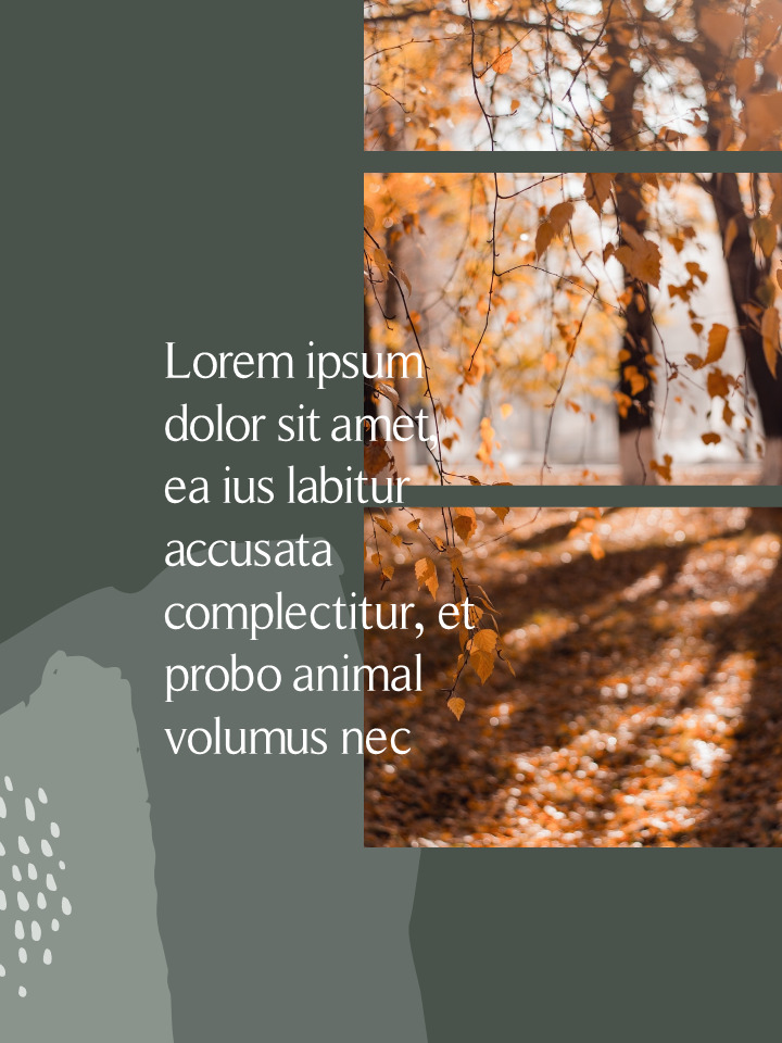 Autumn Season Presentation PPT