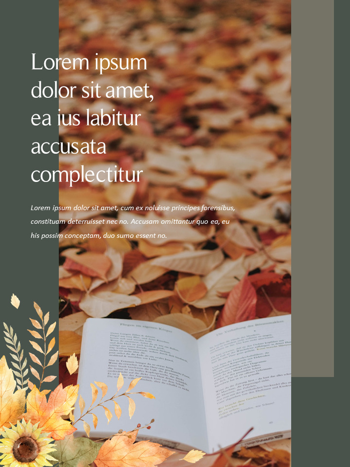 Autumn Season Presentation PPT